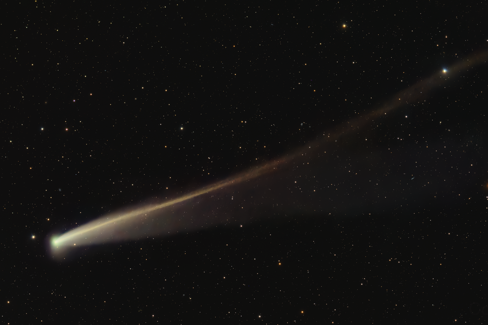 Rare comet defies odds and glows golden in the sky