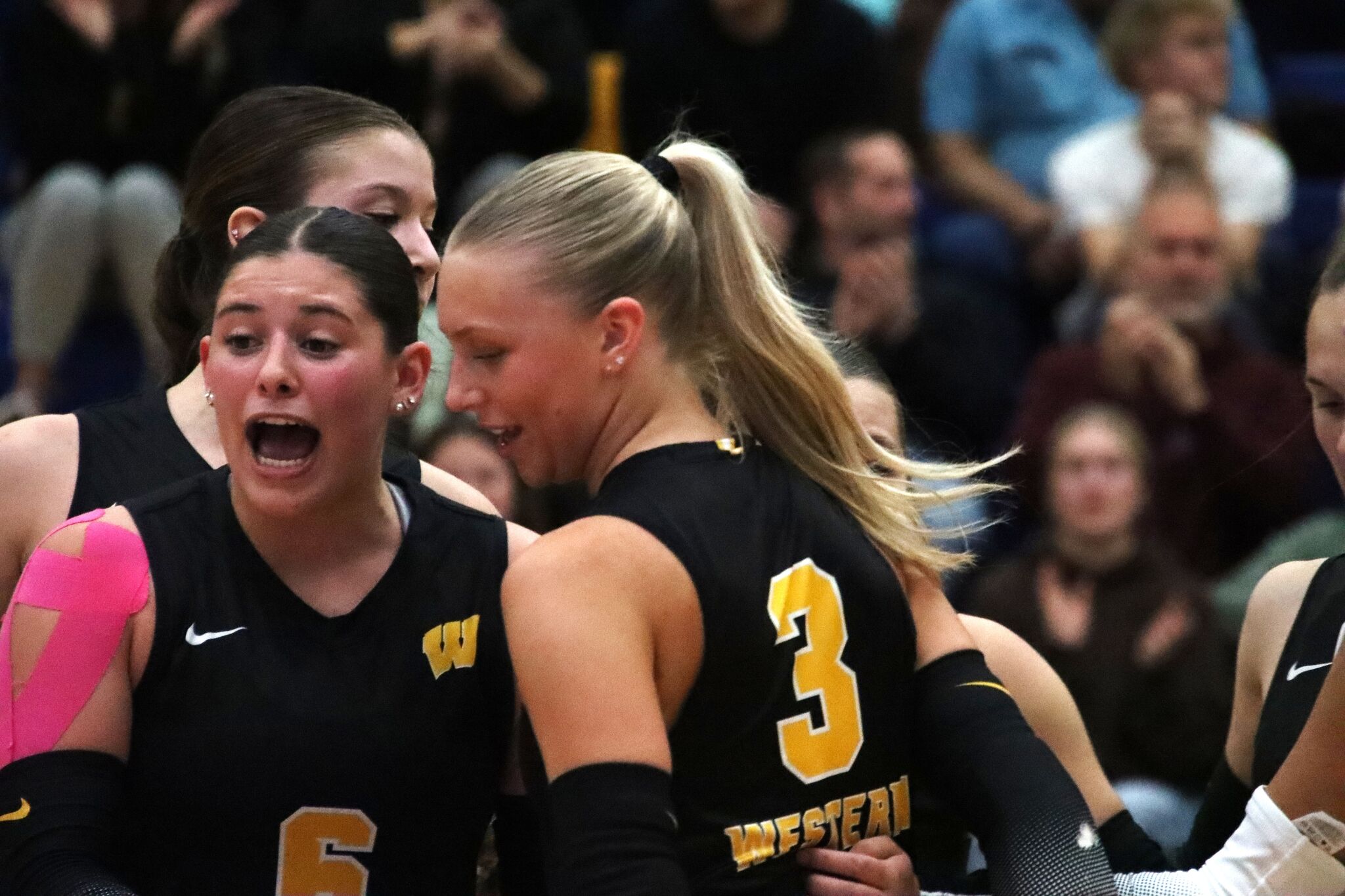 Bay City Western upsets Midland in district volleyball