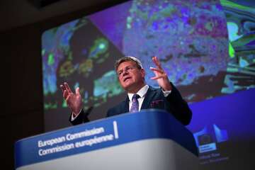 European Union welcomes suspension of China's rare earth controls