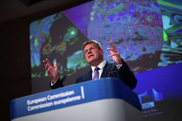 European Union welcomes suspension of China's rare earth controls