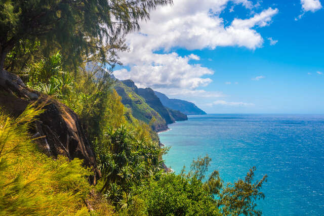 Hiker rescued from famous Hawaii trail due to spider bite infection