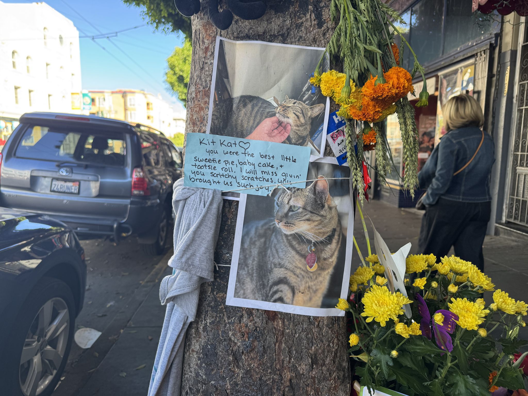 How a cat named KitKat became San Francisco’s symbol of anti-tech rage