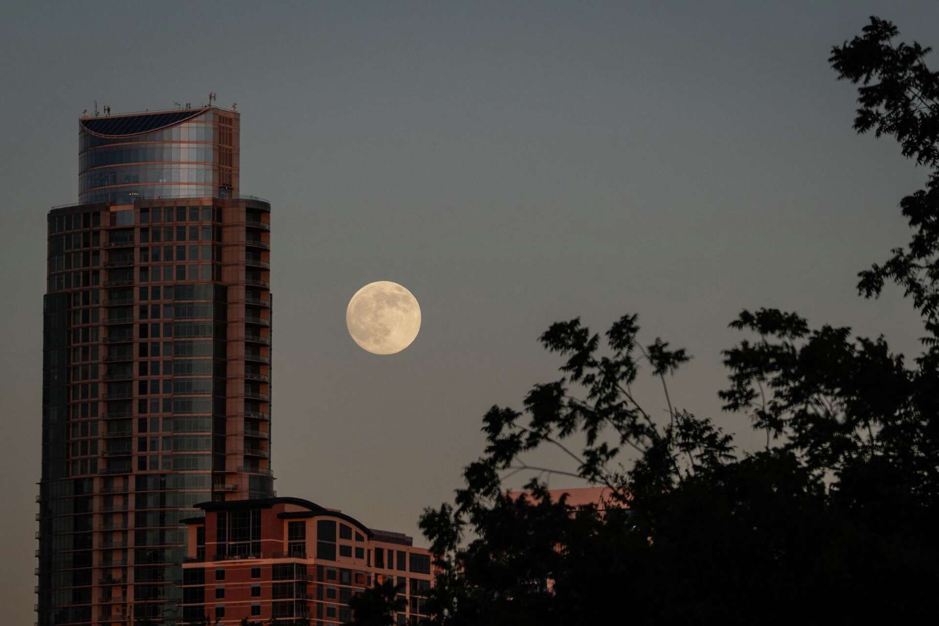 Beaver Supermoon Lights Up Austin Sky: Brightest Moon of 2025 Rises
