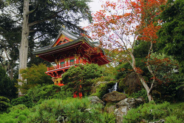 Where to see fall colors in the Bay Area now