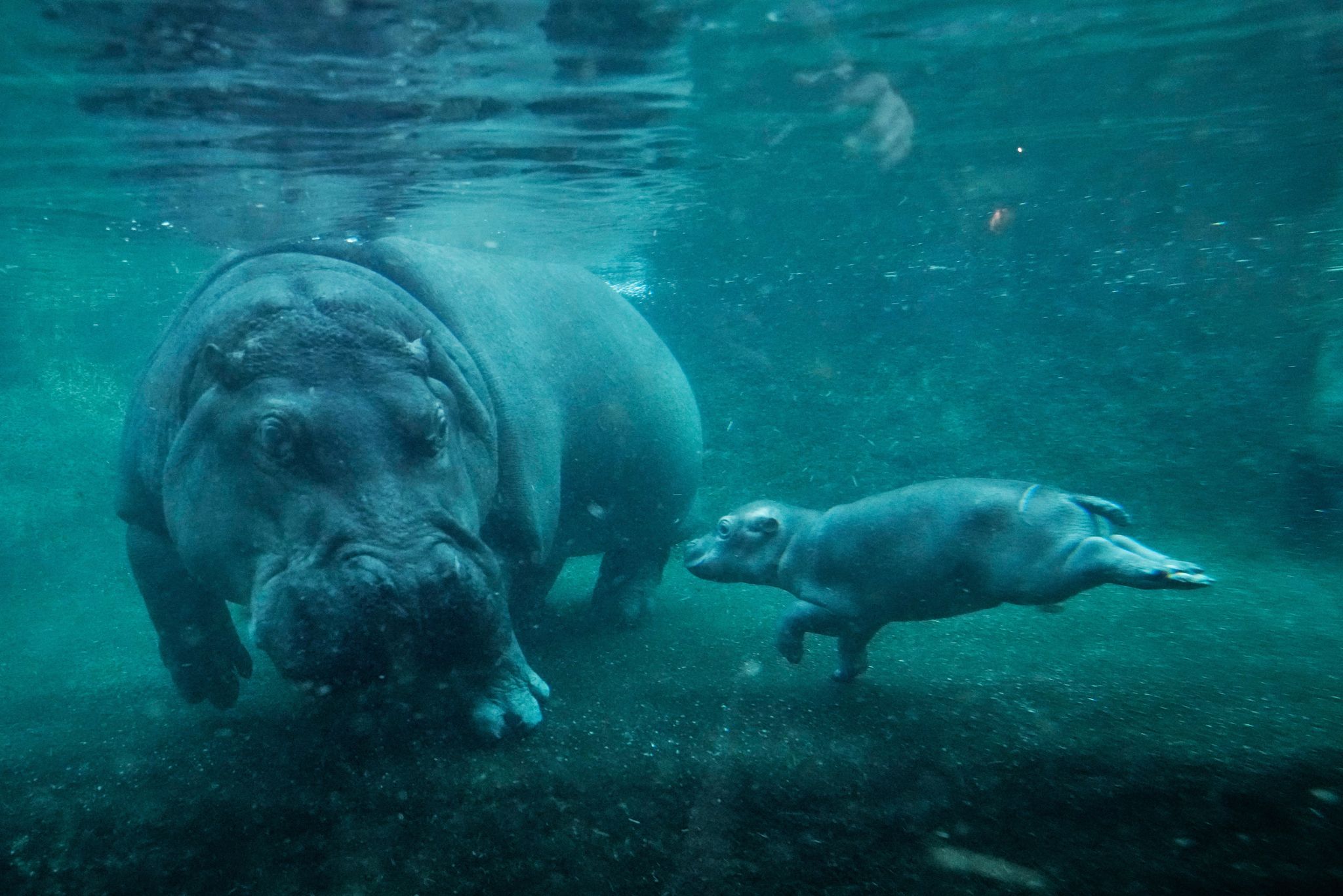 The top photos of the day by AP's photojournalists