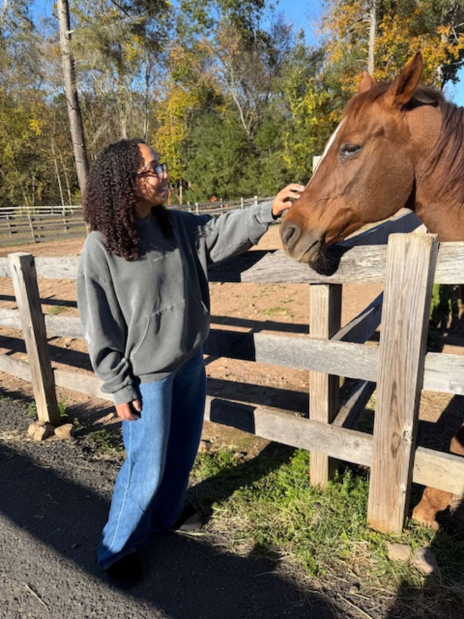 CT's Soul Friends explores human-animal bond to help children