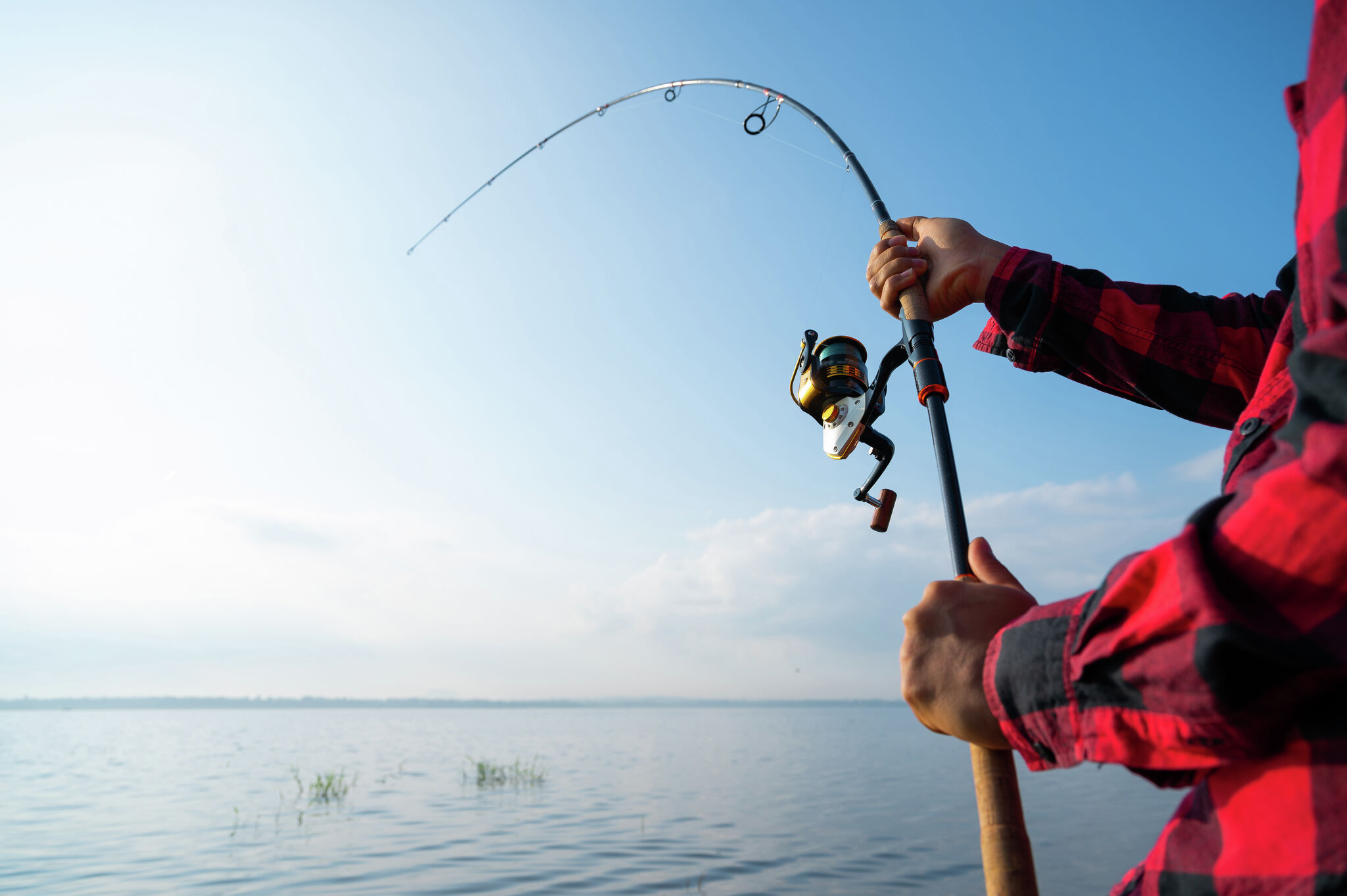 Reese Watzl, Victoria Azarov voted MRT Athletes of the Week