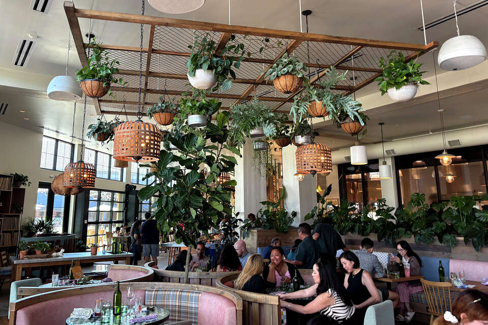 A stay at the Bay Area's unexpectedly hot new suburban hotel