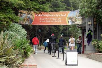 San Francisco Zoo sees ‘major shift’ as new leadership takes charge