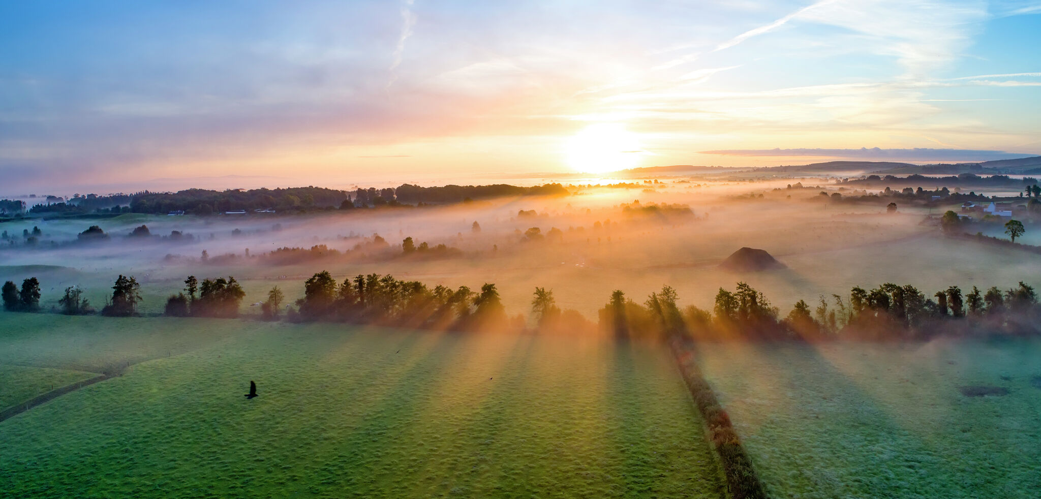 Yale Harvard college football celebrating 150th anniversary in 2025