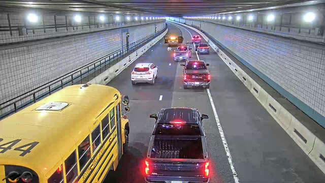 Wrong-way rover: Dog is rescued from a busy Boston tunnel during rush hour