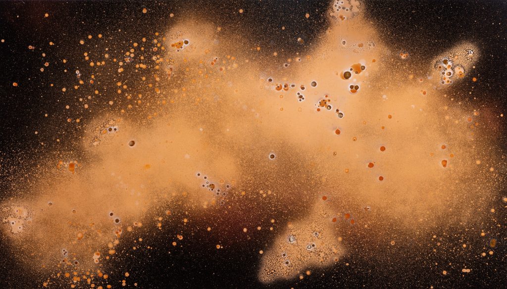 When chemicals and Jennifer Brandon's photos collide at SF Camerawork