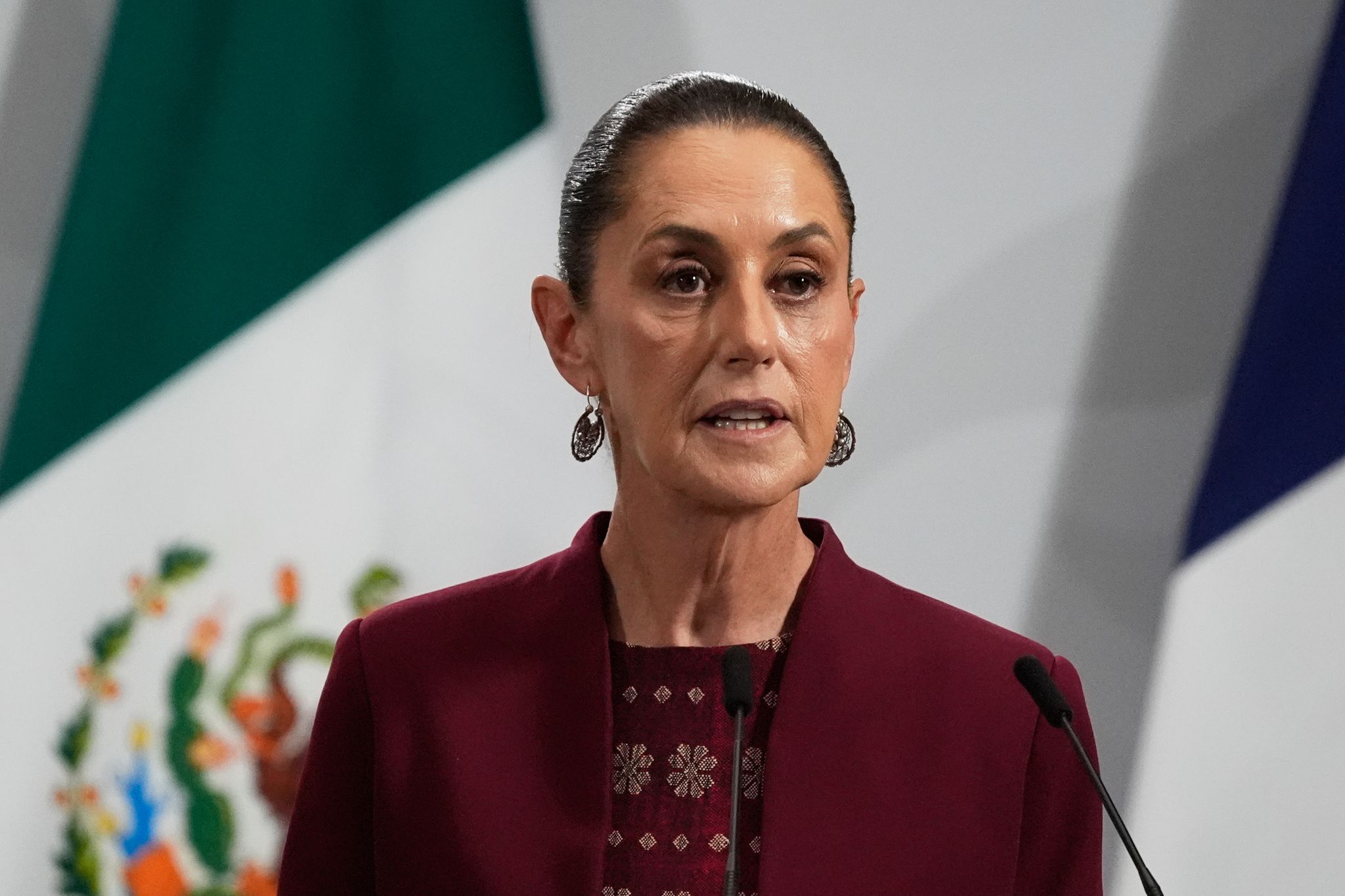 Mexico and France announce plan to boost economic and cultural ties ...