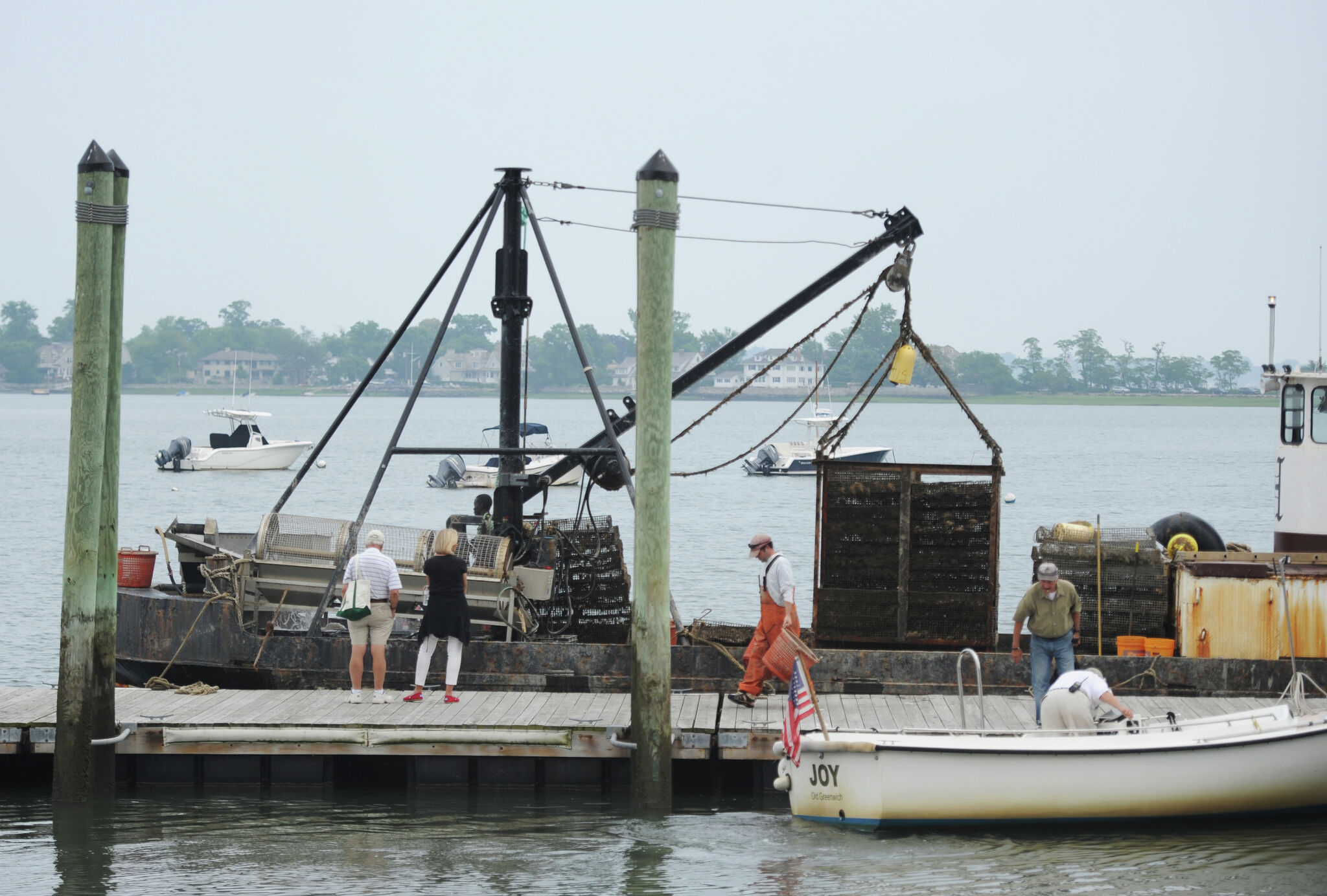 Norwalk man illegally harvested, sold shellfish from city bed: Police