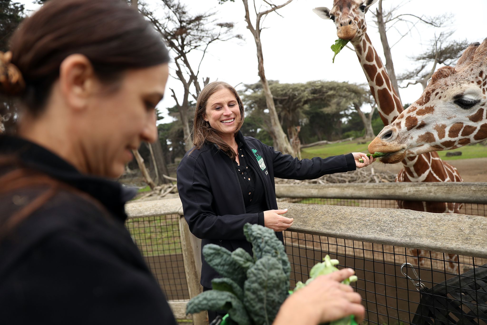 City’s $6.5 million loan to San Francisco Zoo comes with a warning