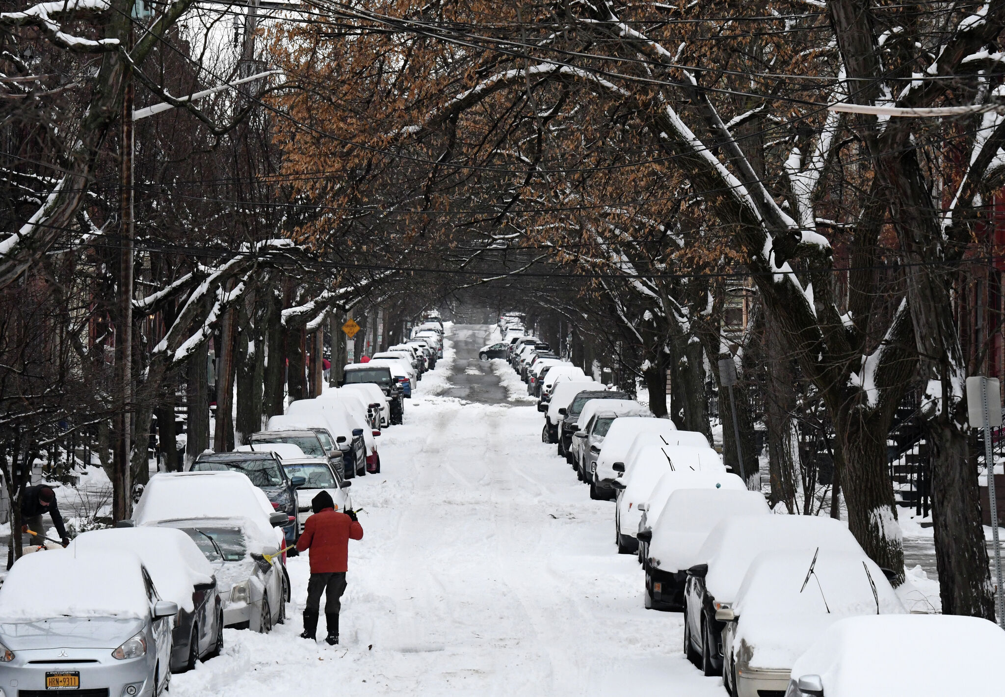 Which date most often saw Albany’s first snowfall in the past century?