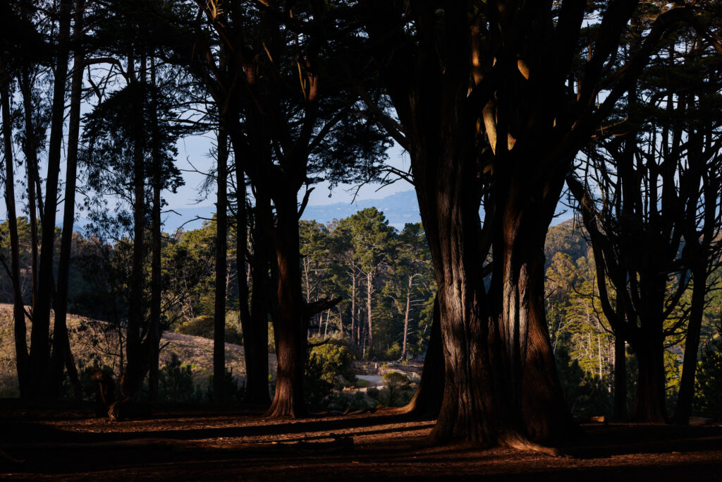S.F. trail charts history of the Presidio with poetry, beadwork and map app