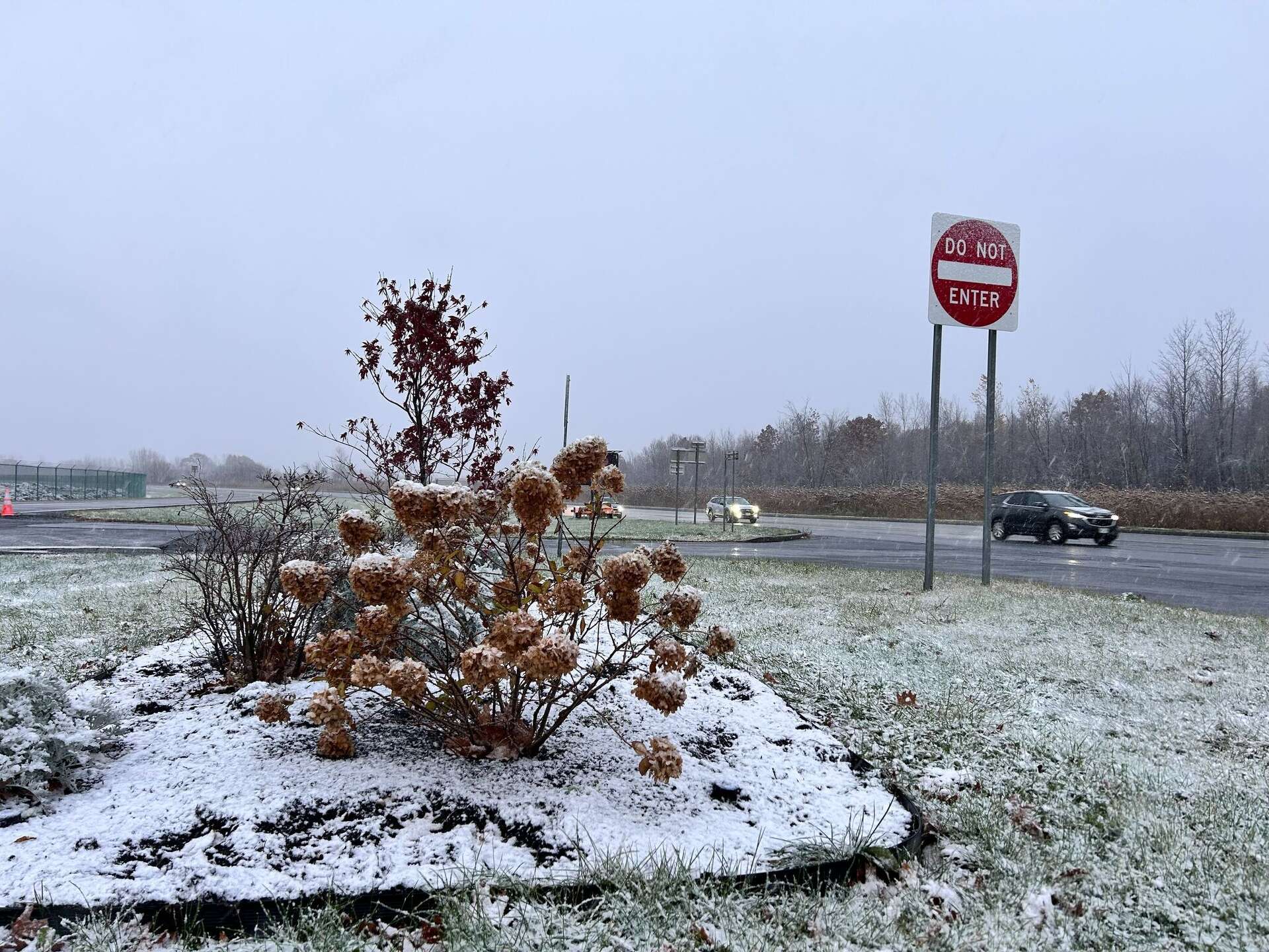 Albany area sees first 'noticeable' snowfall of the season