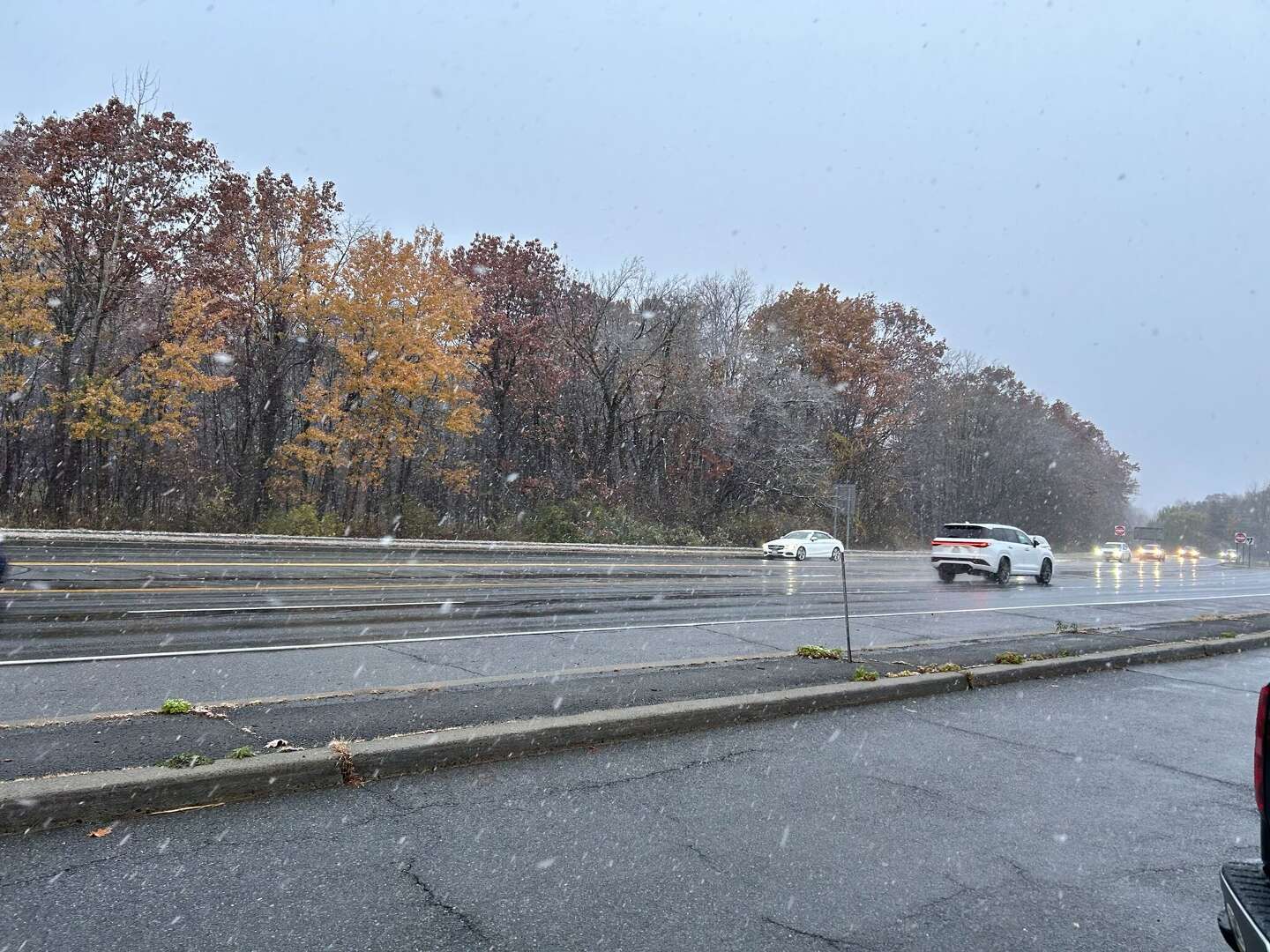 Albany area sees first 'noticeable' snowfall of the season