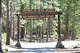 Camp Mather: Ultimate guide to San Francisco's family camp