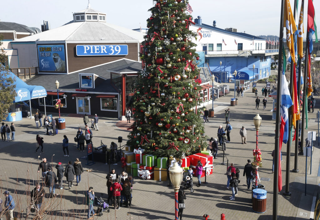 The Pier 39 Christmas tree was just taken down. Here's why