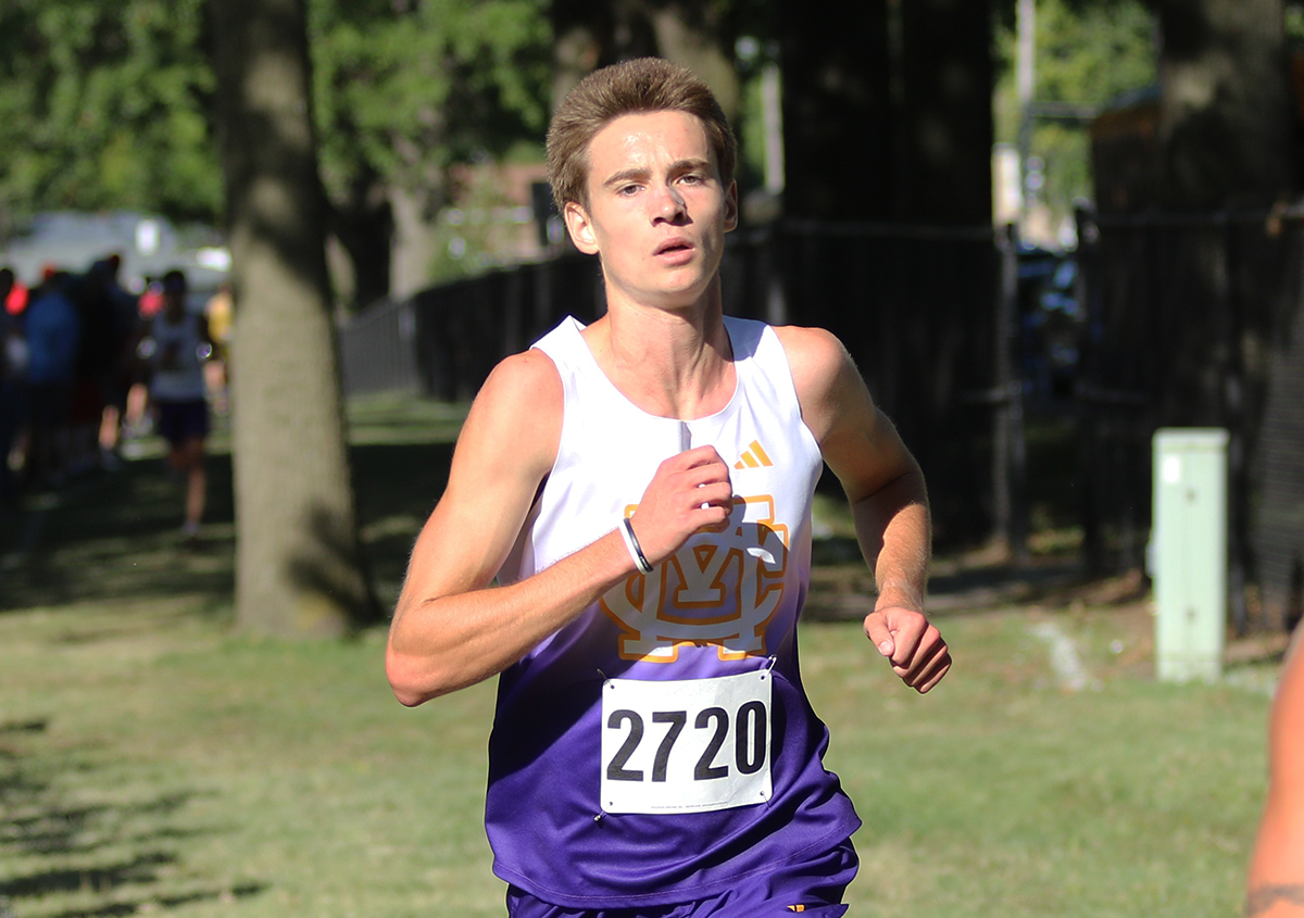 Bad Bunny is the latest product of political rage — how pop culture ...