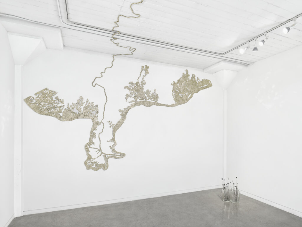 'Jen Bervin: Source' brings the Mississippi River to San Francisco