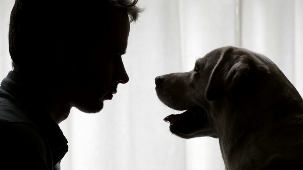 Eye-opening alternatives: 9 great short films crafted by Bay Area ...