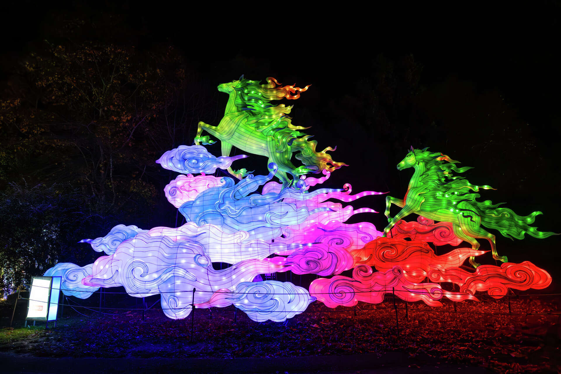 'Radiant Nature' light display opens at Houston Botanic Garden