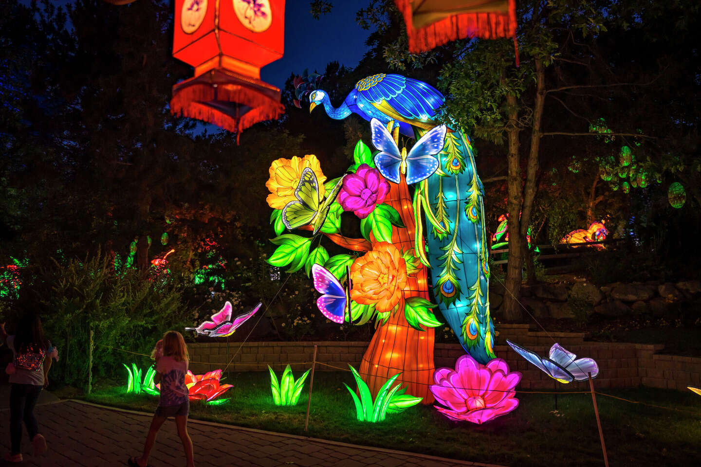 'Radiant Nature' light display opens at Houston Botanic Garden