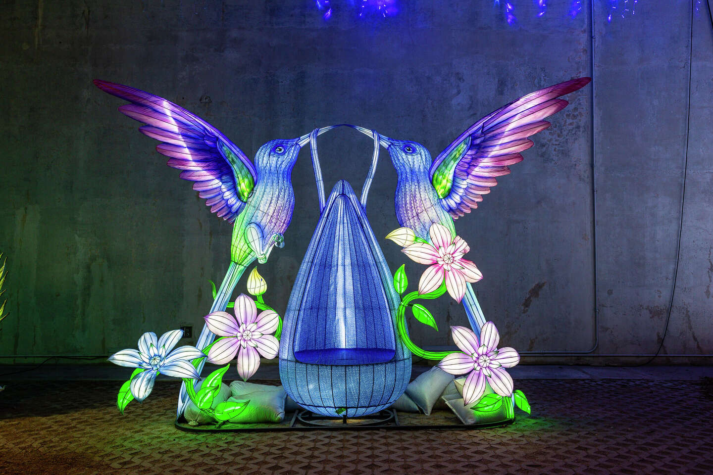 'Radiant Nature' light display opens at Houston Botanic Garden