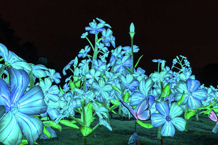 'Radiant Nature' light display opens at Houston Botanic Garden