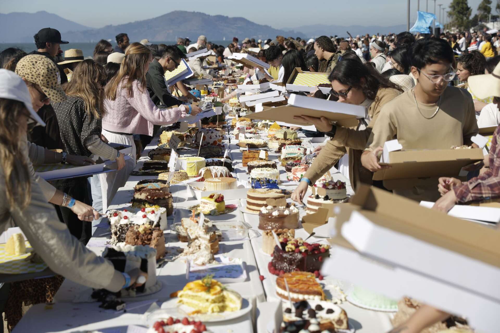 Cake Picnic, born in San Francisco, has exploded in popularity