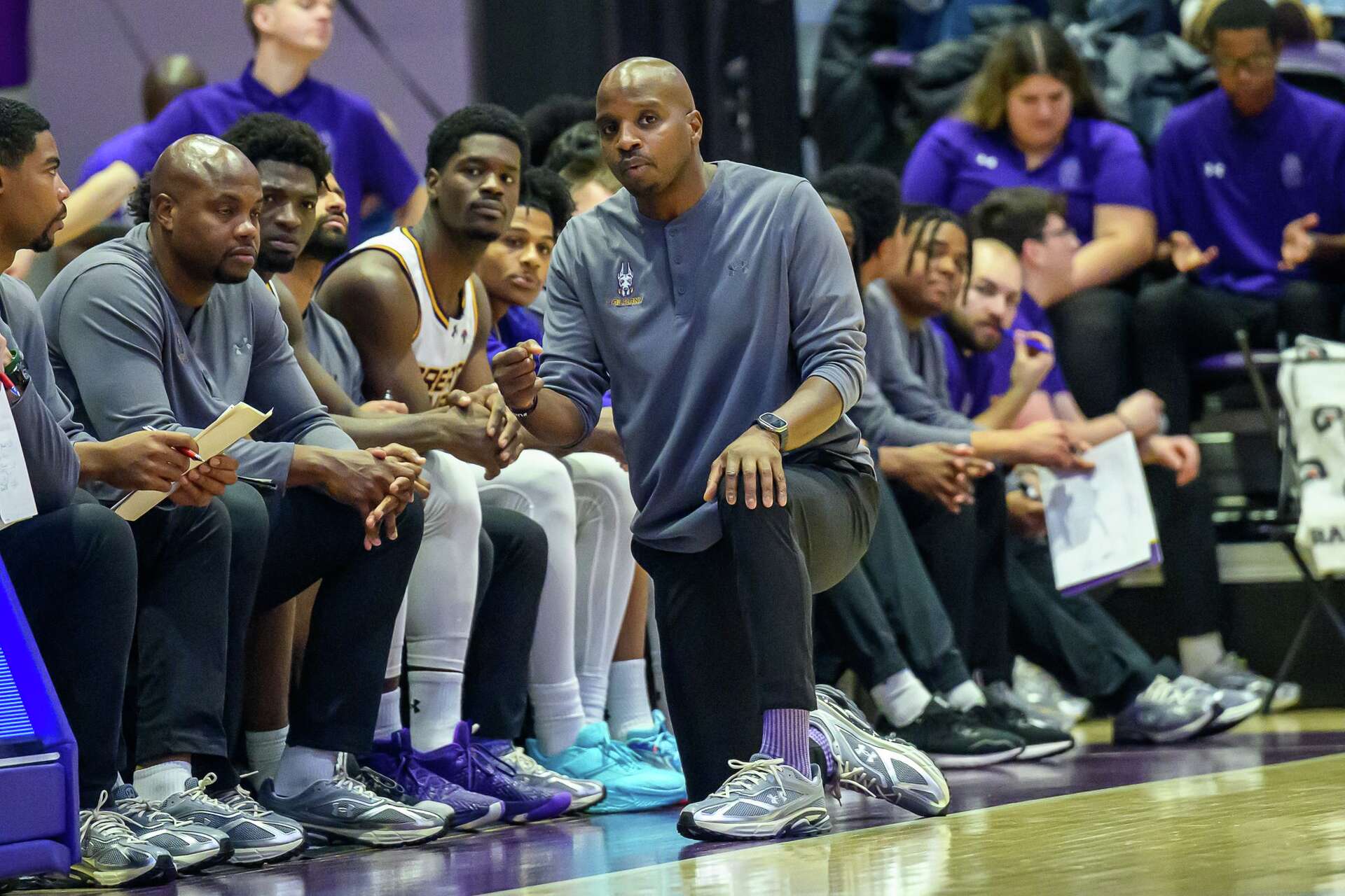 UAlbany basketball beats Stony Brook for first Division I win