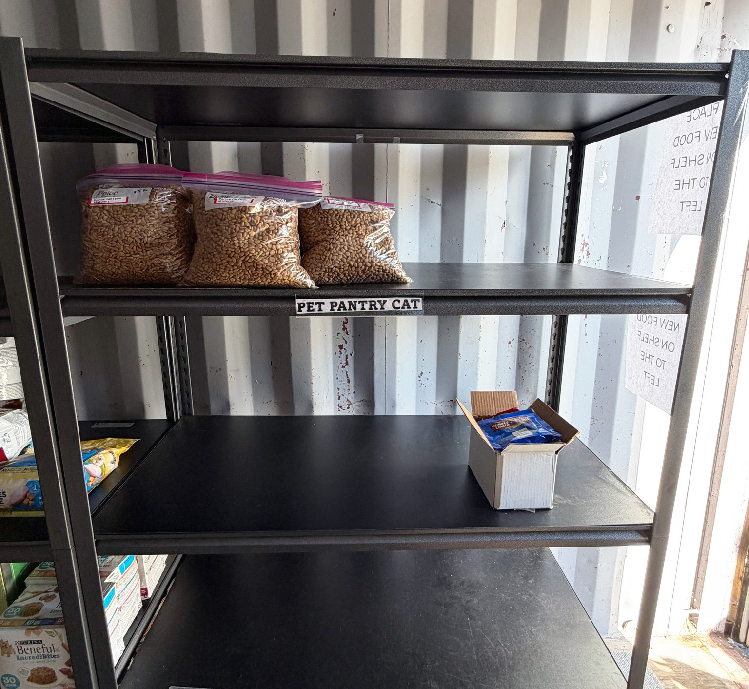 Thanksgiving salad with pears, Parmesan and pomegranate seeds, starring ...