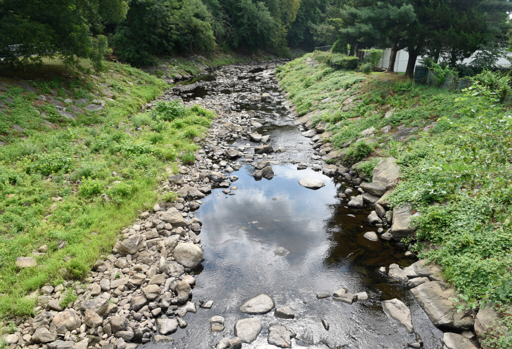 6 Greenwich testing sites fail to meet safe swimming standards