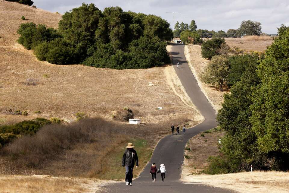 Stanford Dish hike in Palo Alto has views, hills and a huge telescope