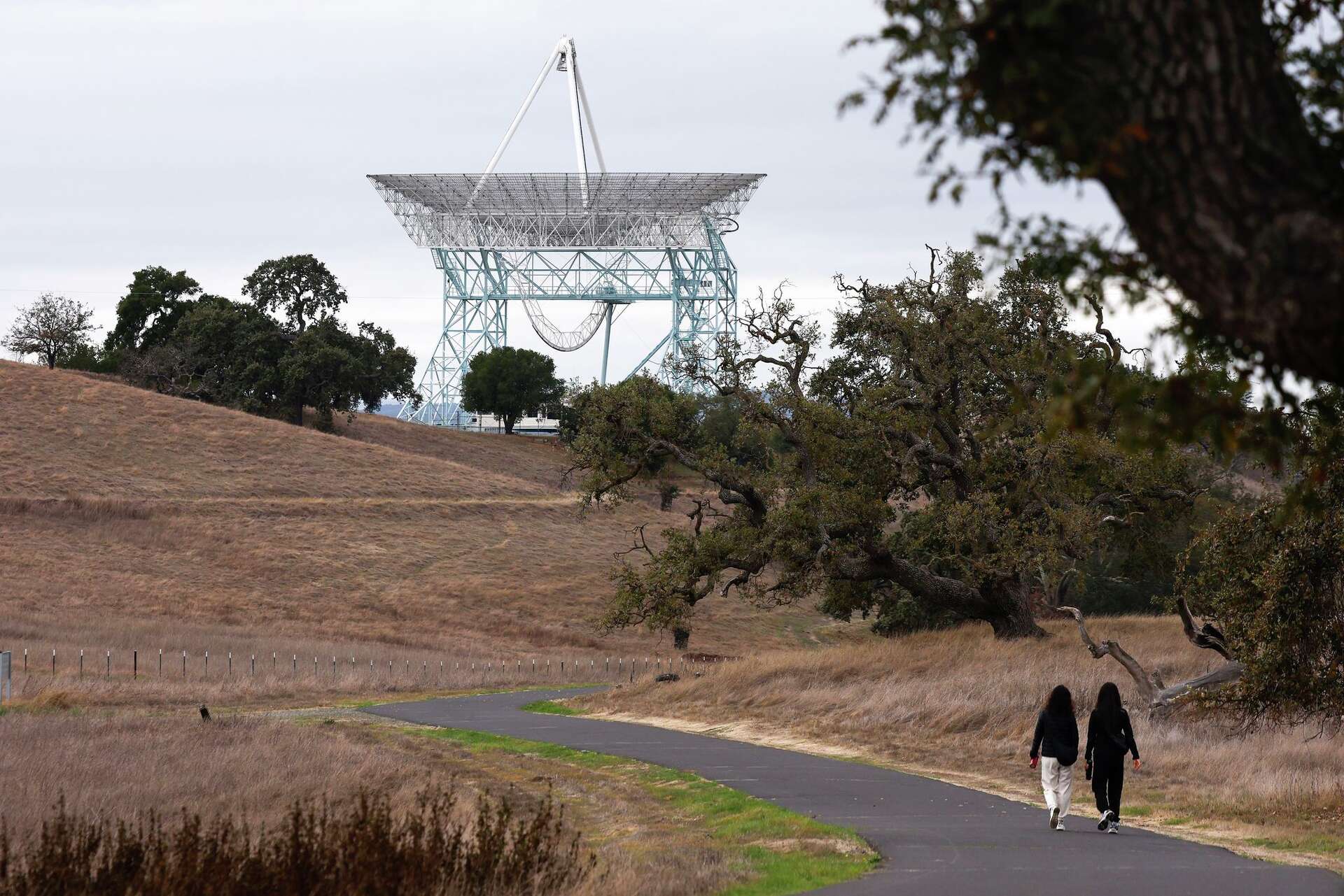 Stanford Dish hike in Palo Alto has views, hills and a huge telescope