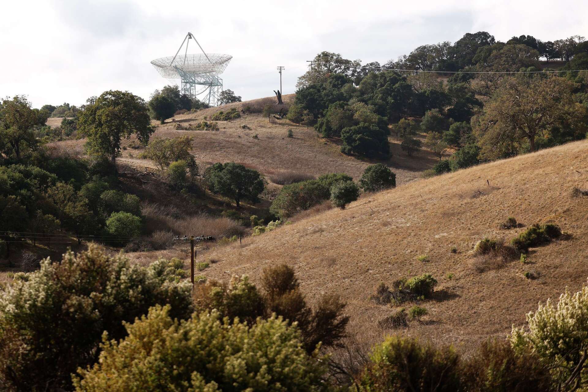 Stanford Dish hike in Palo Alto has views, hills and a huge telescope