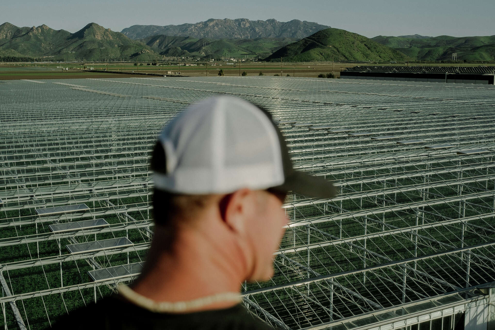 Deadly Trump admin raid on California farm cost company $26 million