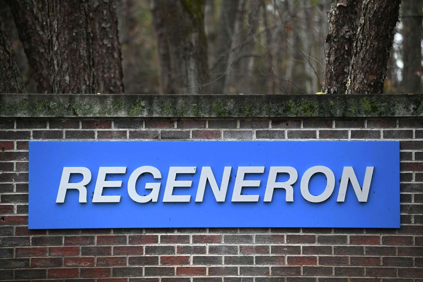 Regeneron to build $2 billion factory, create 1,000 jobs in Saratoga