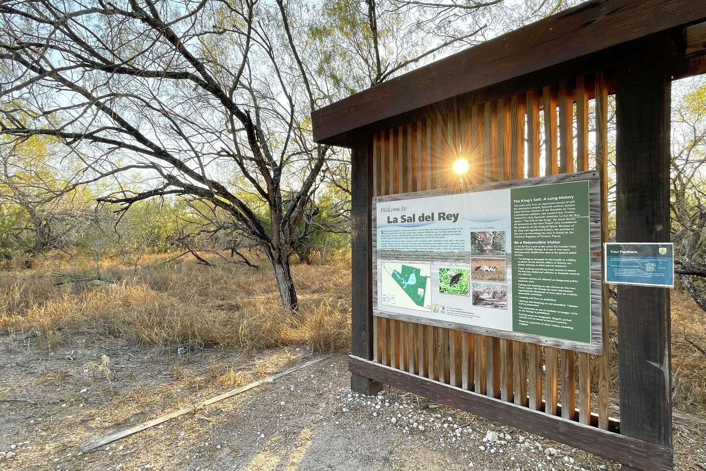 Texas' natural salt lake La Sal Del Rey is a true hidden gem