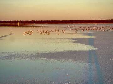 Texas' natural salt lake La Sal Del Rey is a true hidden gem