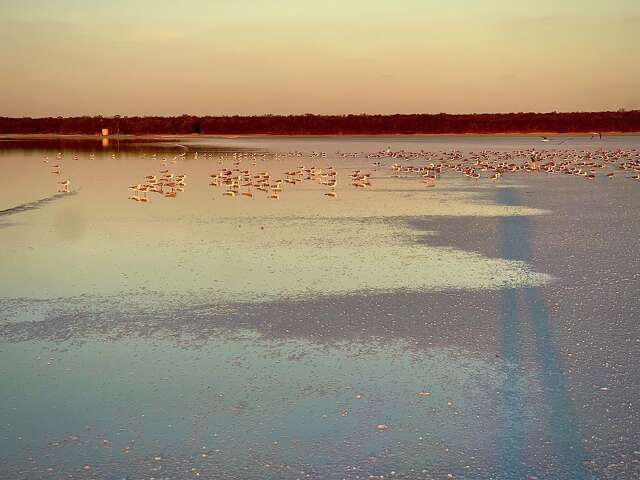 Texas' natural salt lake La Sal Del Rey is a true hidden gem