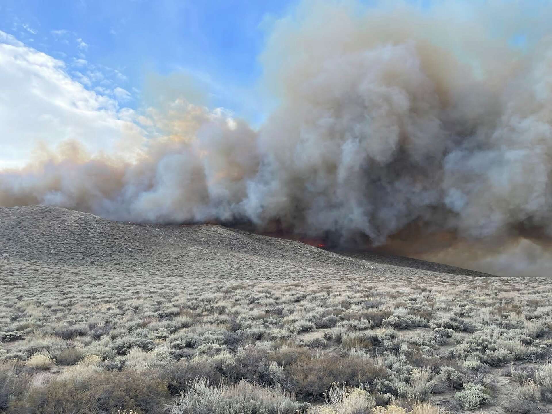 California’s Pack Fire 5% contained after burning 3,000 acres