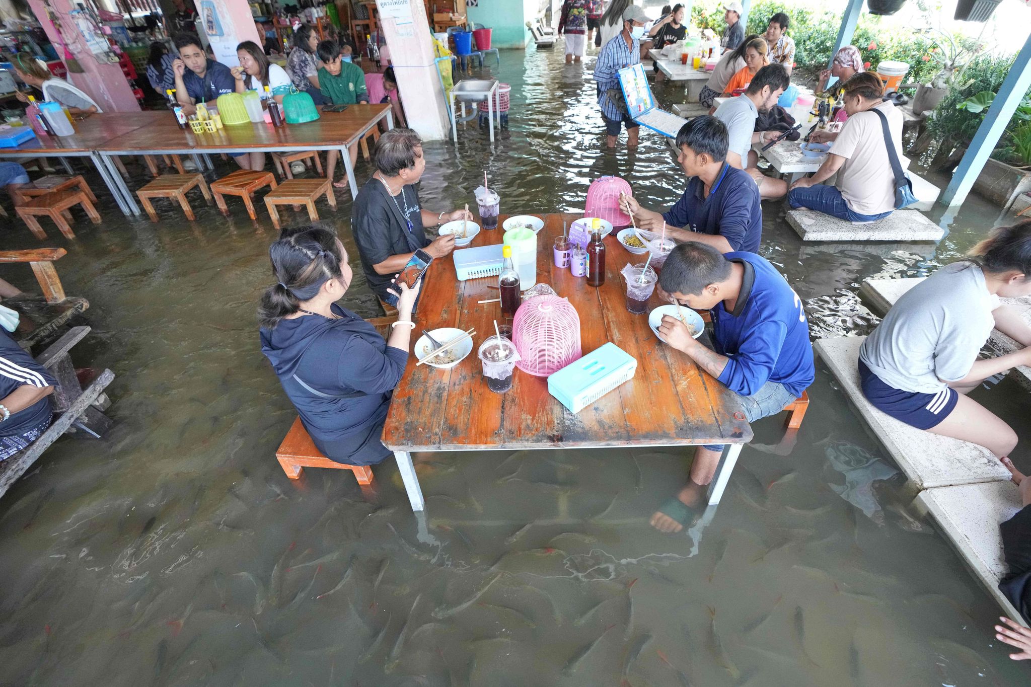 A flooded restaurant in Thailand brings delight with swimming fish ...