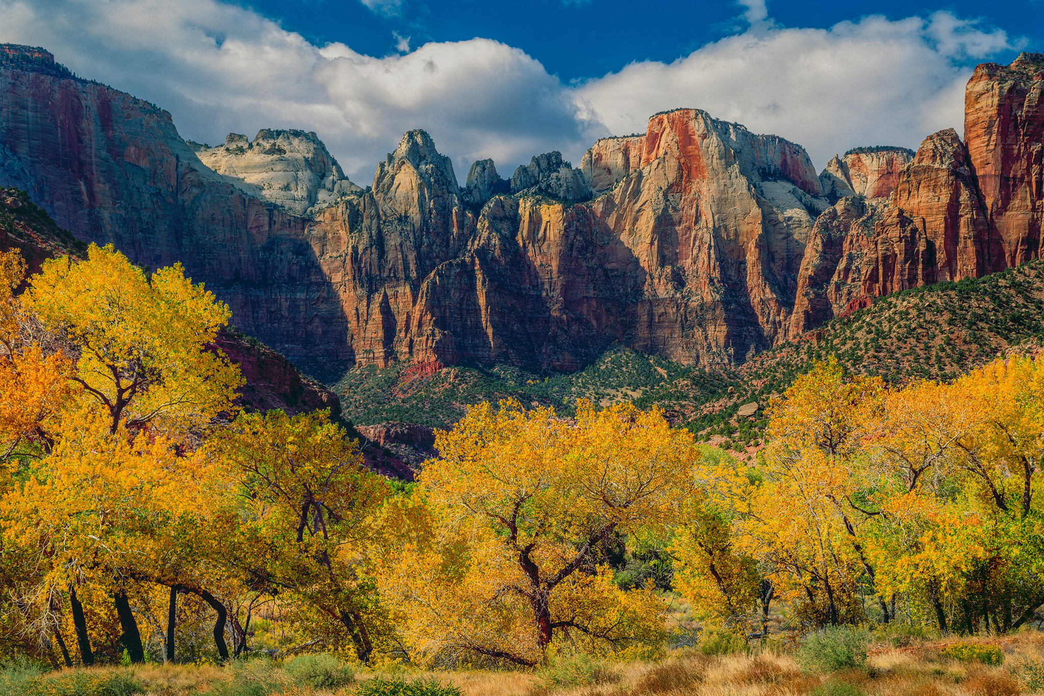 Zion National Park event attracts hundreds for shutdown recovery