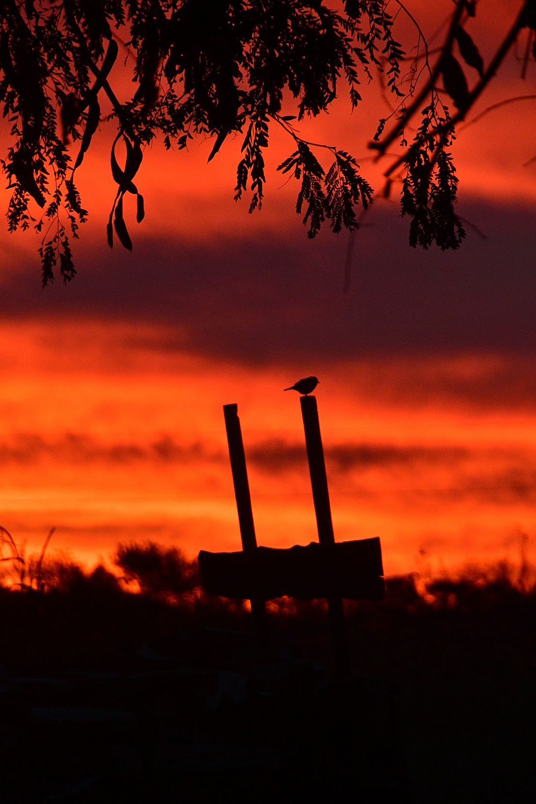 Michaeli scores 20, Malone chips in 17 for Colorado in 97-88 win ...