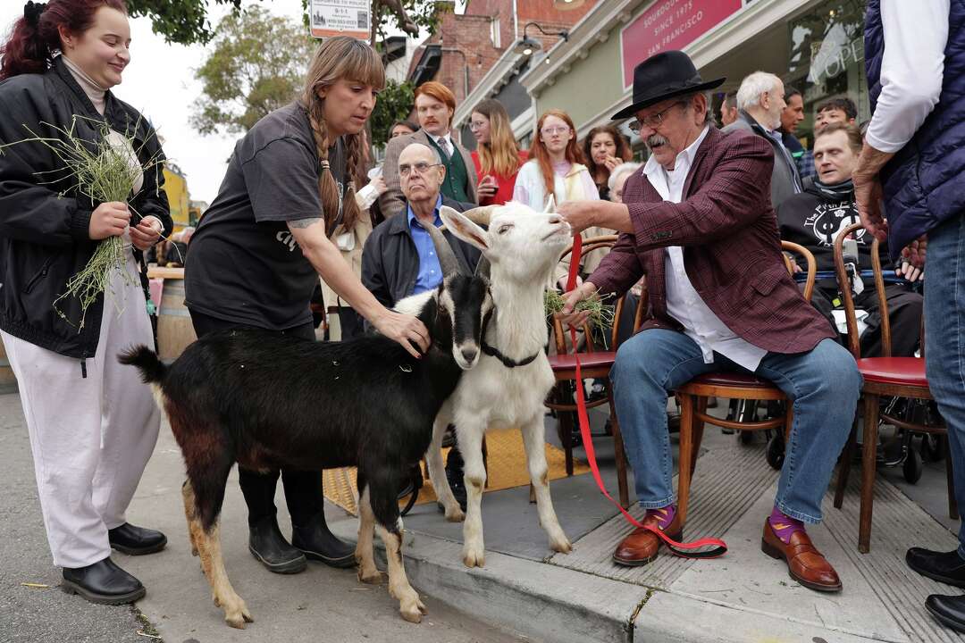 A popular S.F. pizzeria just turned 50. Here’s how it celebrated