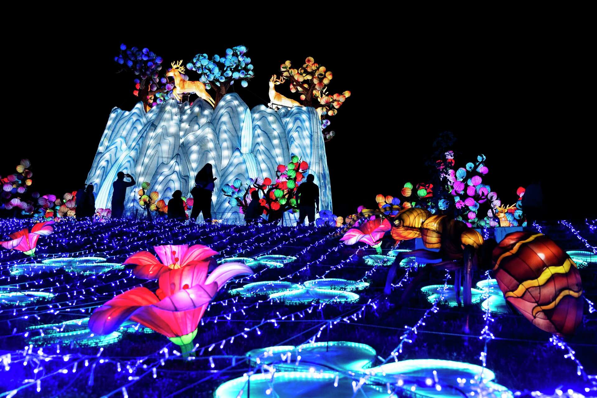 Houston holiday light displays: Zoo Lights, Galaxy Lights and more